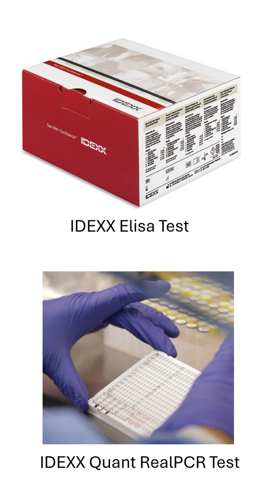 Independent Study Results: The effects of FeLife on FLV+ Cats – Doc Clemens