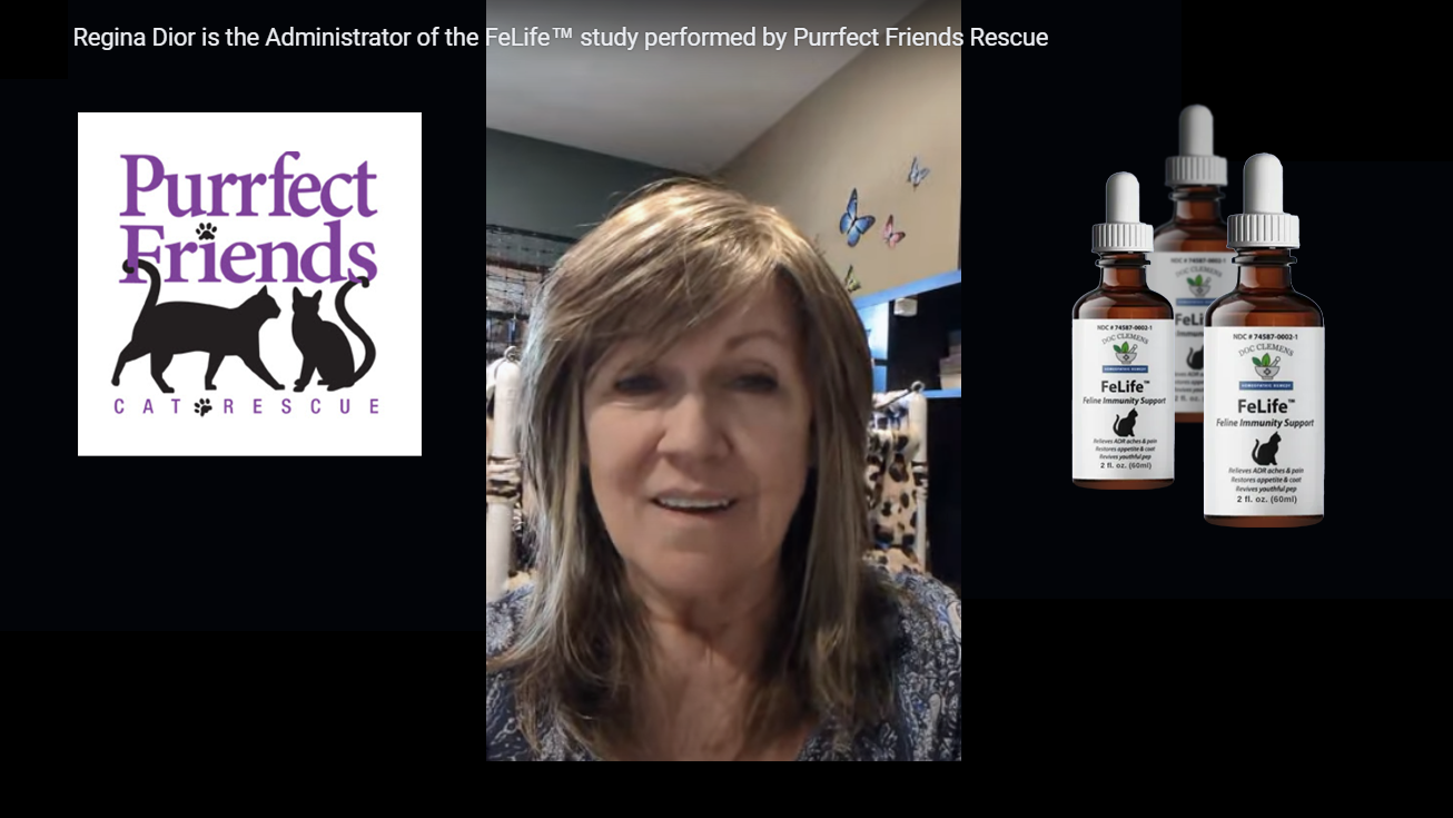 Independent Study Results: The effects of FeLife on FLV+ Cats – Doc Clemens