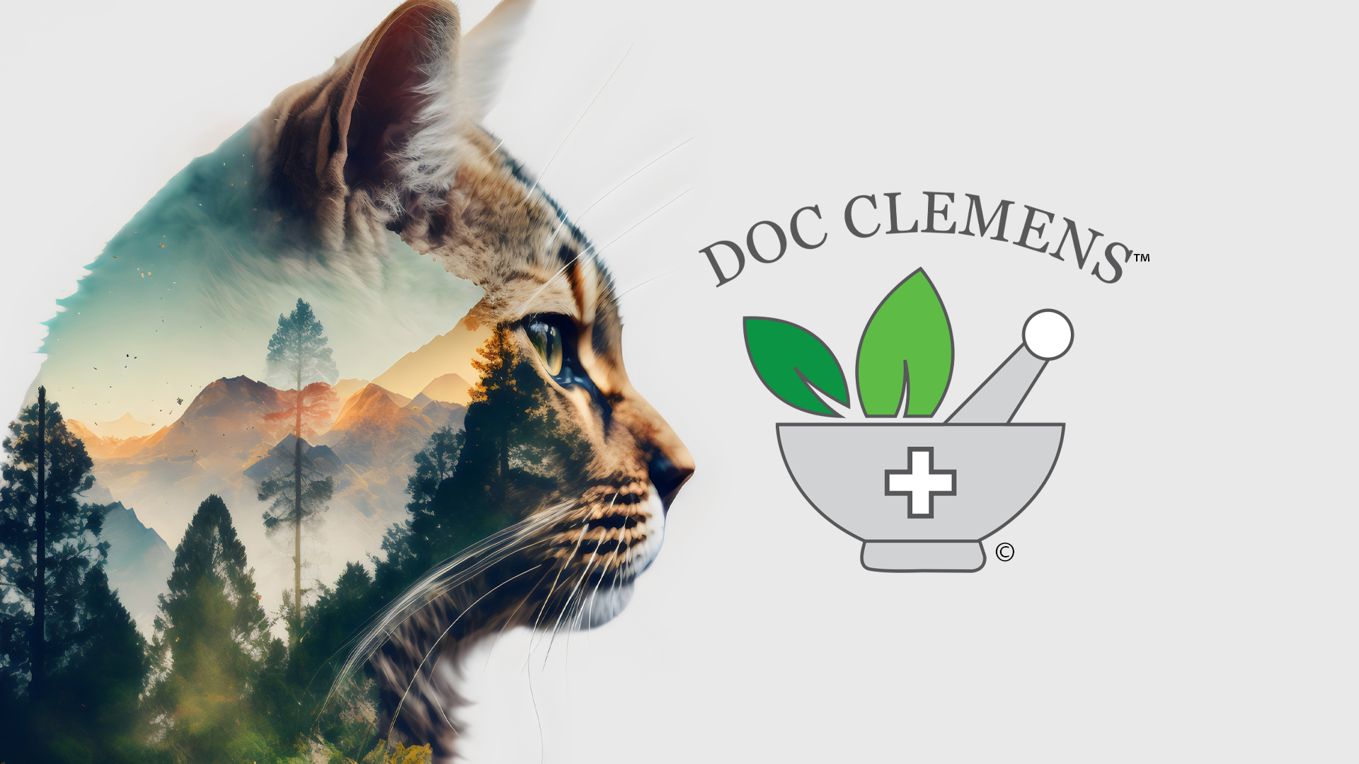 Case Studies - DocClemens - Feline Leukemia Treatment – Doc Clemens ...